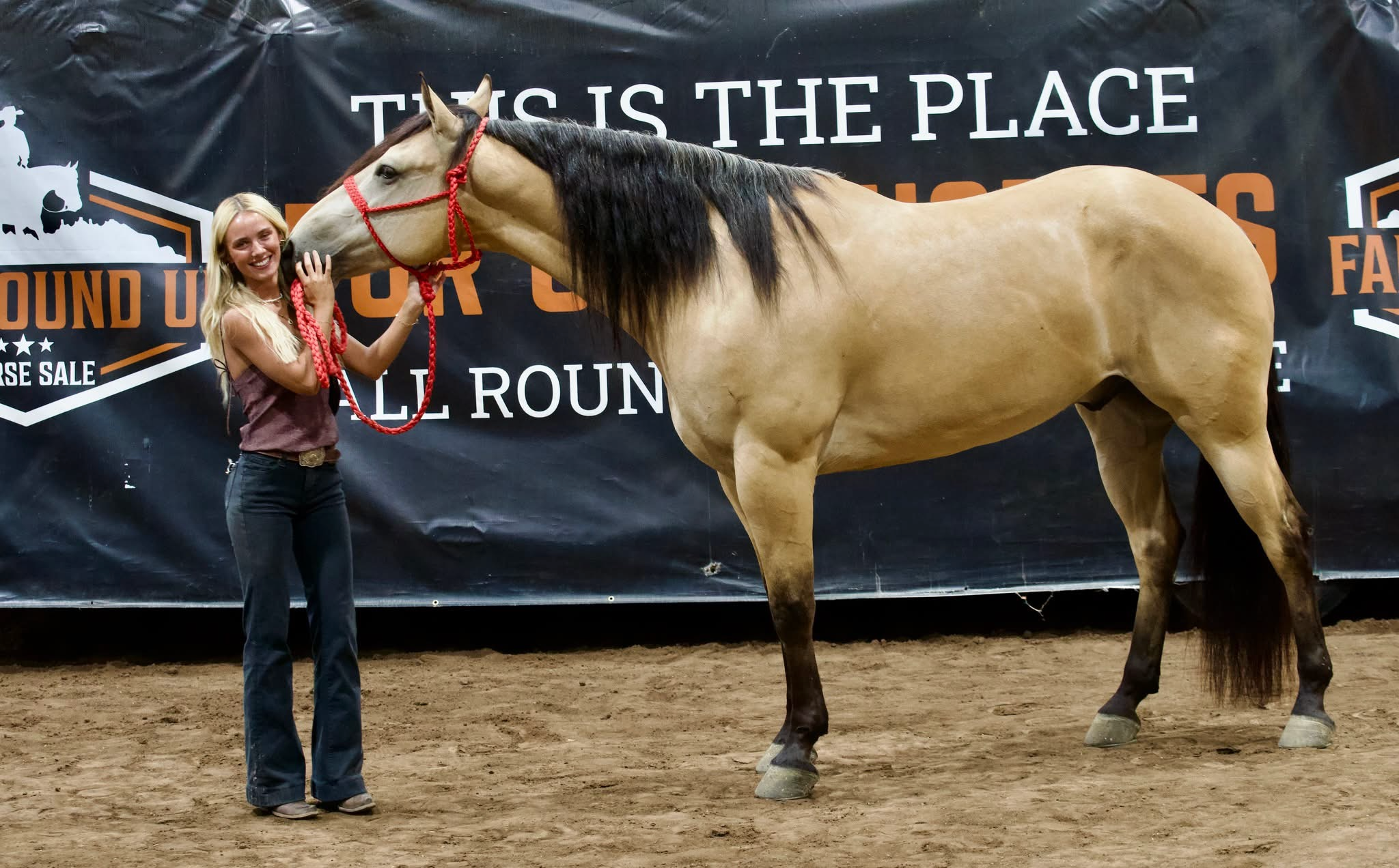 Fall Round Up Horse Sale